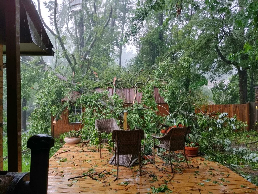 Storm damage - Vicx Tree Service